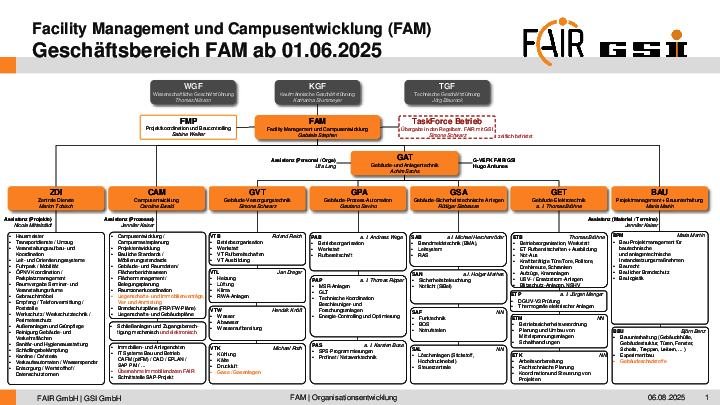 GSI - Organization and Tasks
