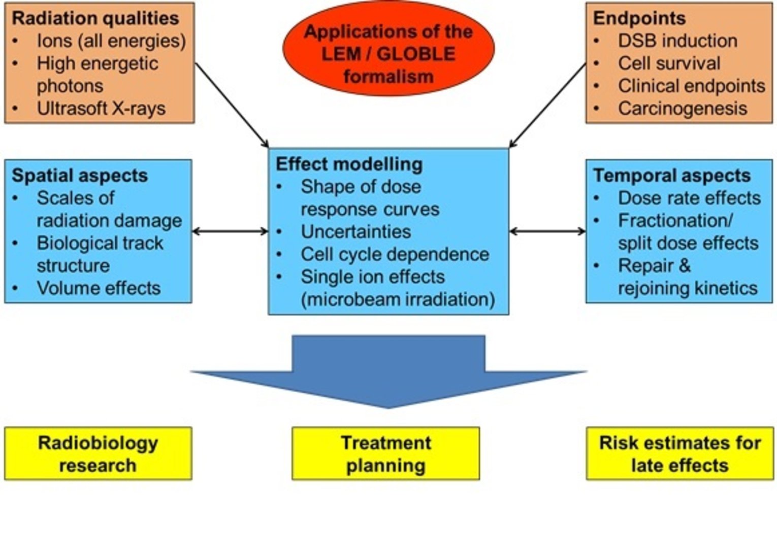 GSI - Radiobiological Modelling