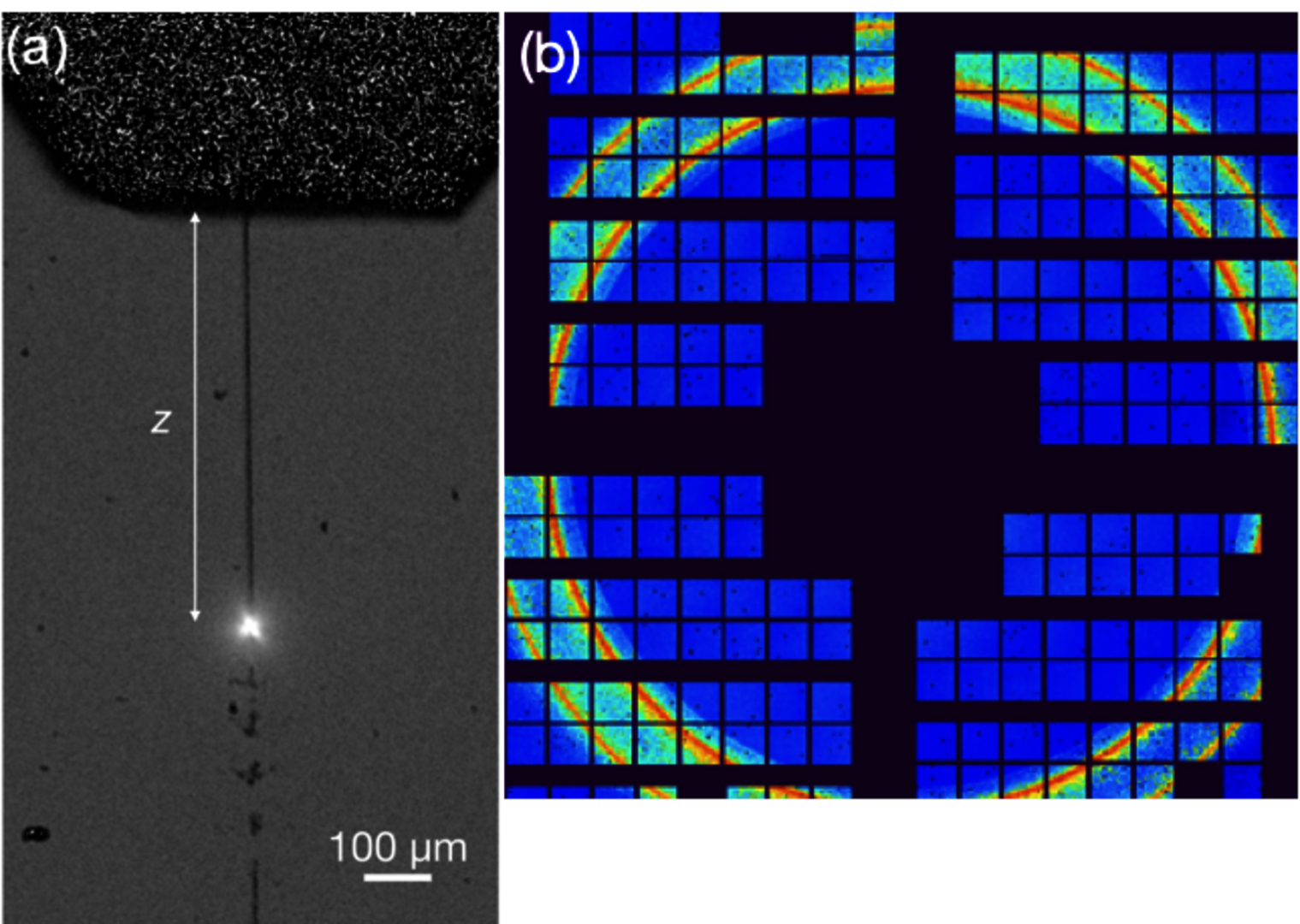GSI - Target Development